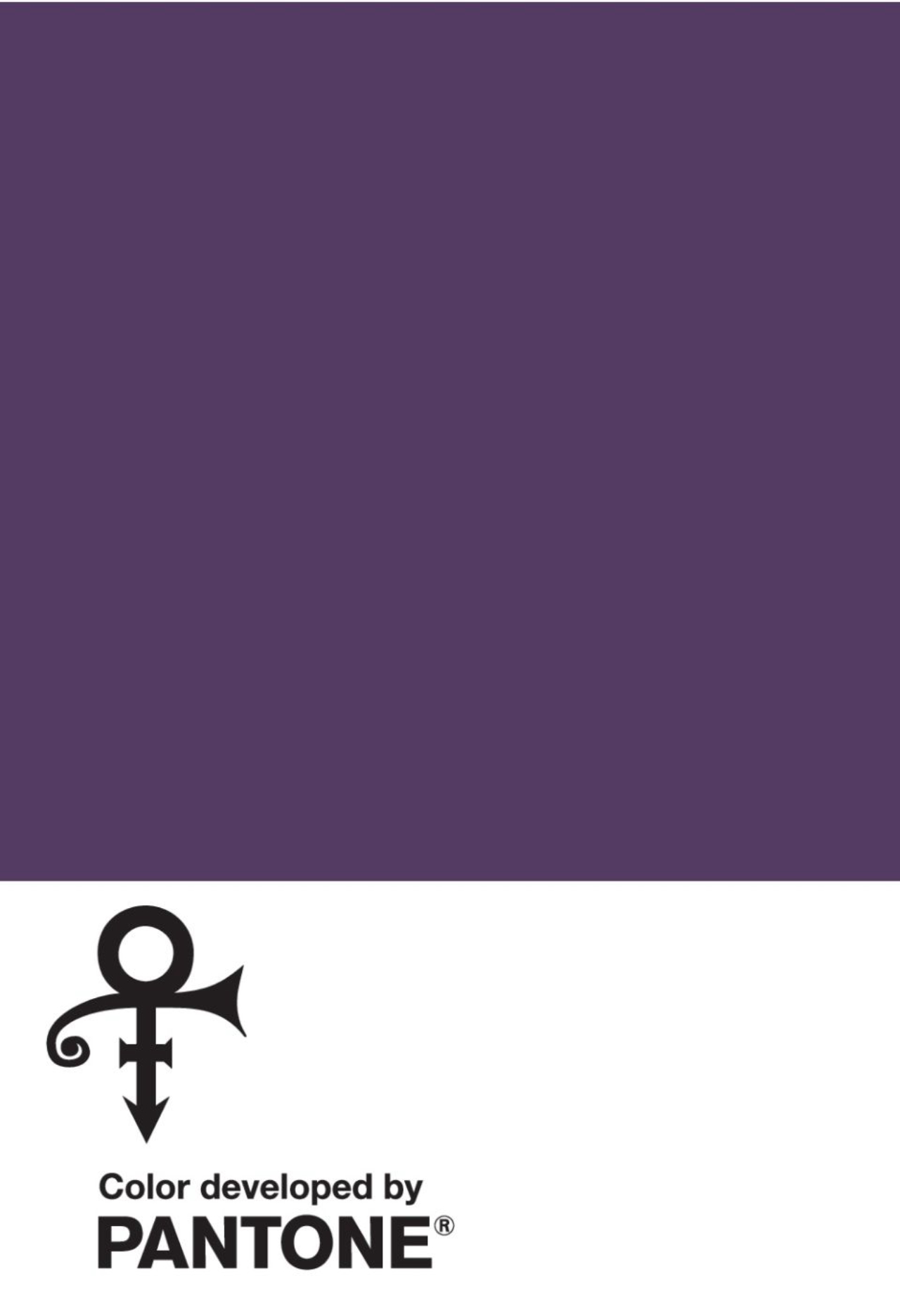 Pantone cria cor em homenagem a Prince